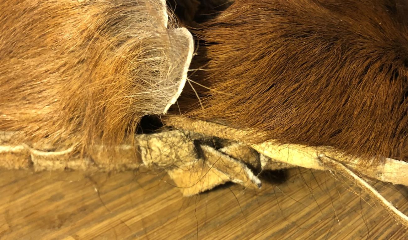 Reconstructing Ötzi’s shoes | The EXARC Journal